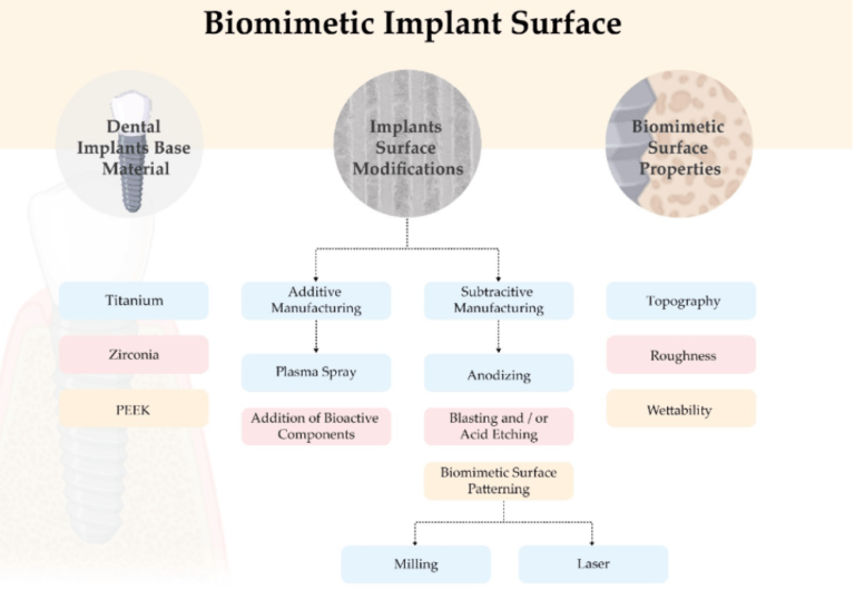 Biomimetic Materials For Dental Implants Enhance Osseointegration And Longevity